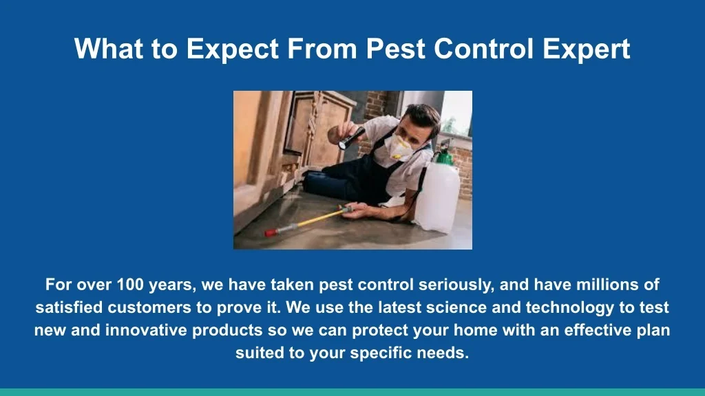 PPT - Affordable Pest Control Services - Pest Control Expert PowerPoint ...