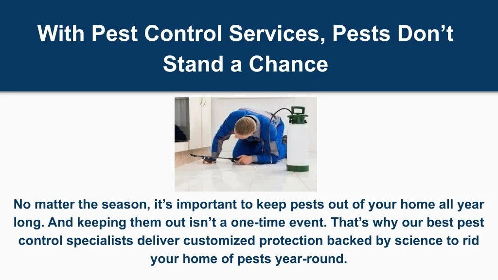 PPT - Pest Control Company - Pest Control Expert PowerPoint ...