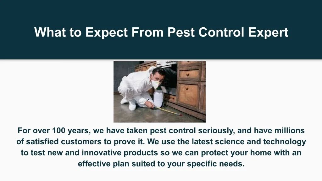 PPT - Best Pest Management Services - Pest Control Expert PowerPoint ...