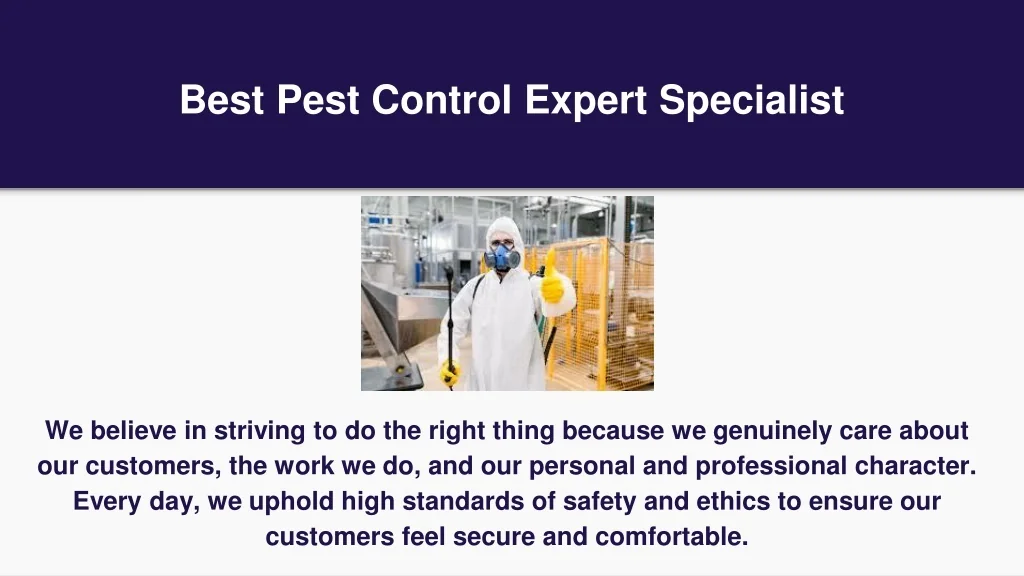 PPT - Pest Control Company - Pest Control Expert PowerPoint ...