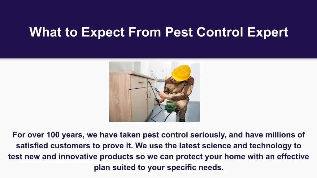 PPT - Pest Control Company - Pest Control Expert PowerPoint ...