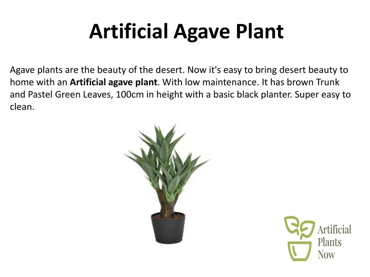 PPT - Artificial Agave Plant PowerPoint Presentation, free download ...