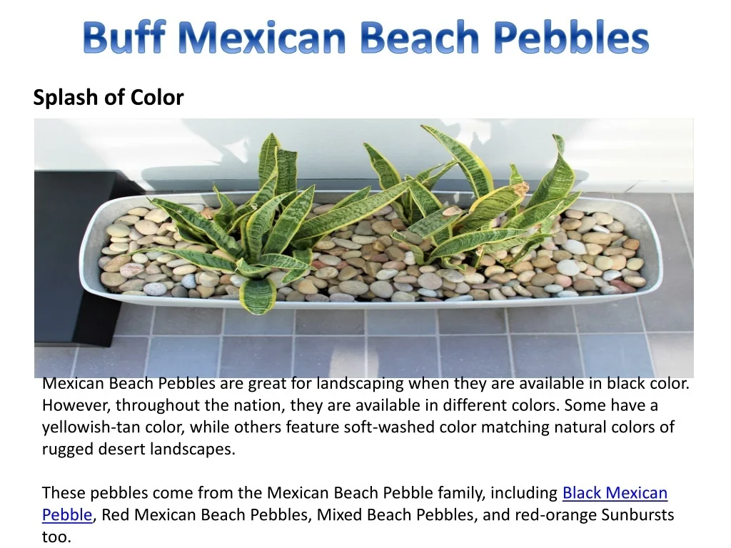PPT - Buff Mexican Beach Pebbles PowerPoint Presentation, free download ...