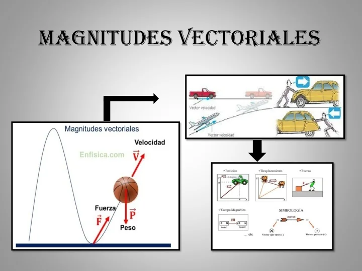 PPT - magnitudes vectoriales PowerPoint Presentation, free download ...