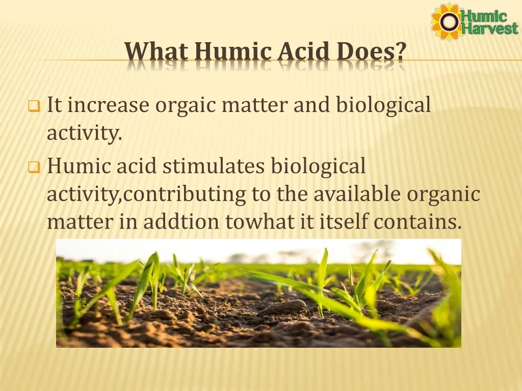PPT - Best Humic Acid Manufacturer PowerPoint Presentation, free ...