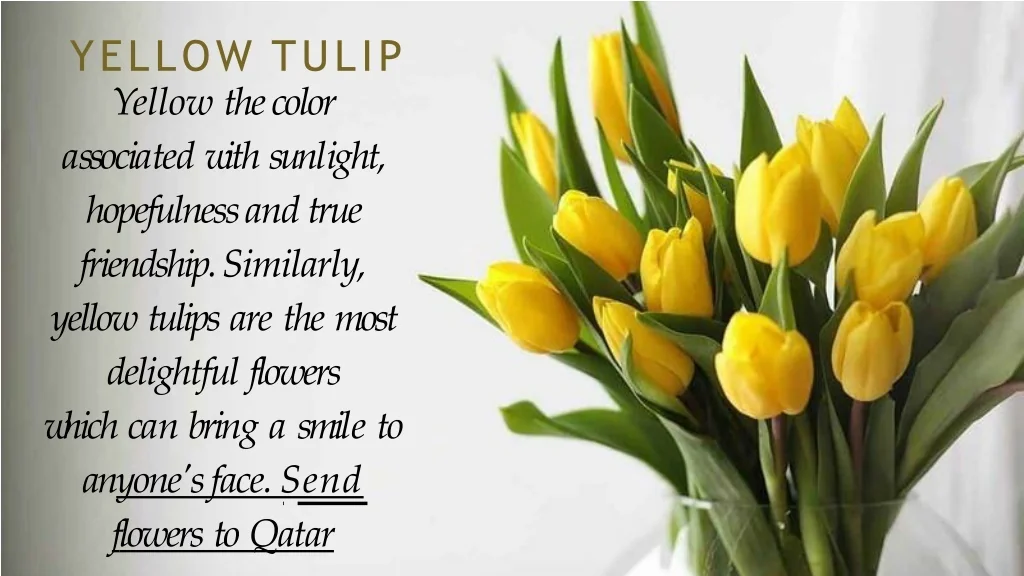 PPT - The stunning beauty of Tulips flower delivery in Qatar PowerPoint ...