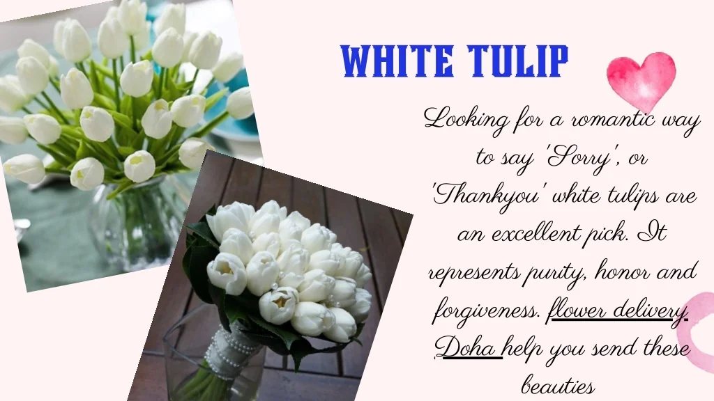 PPT - The stunning beauty of Tulips flower delivery in Qatar PowerPoint ...