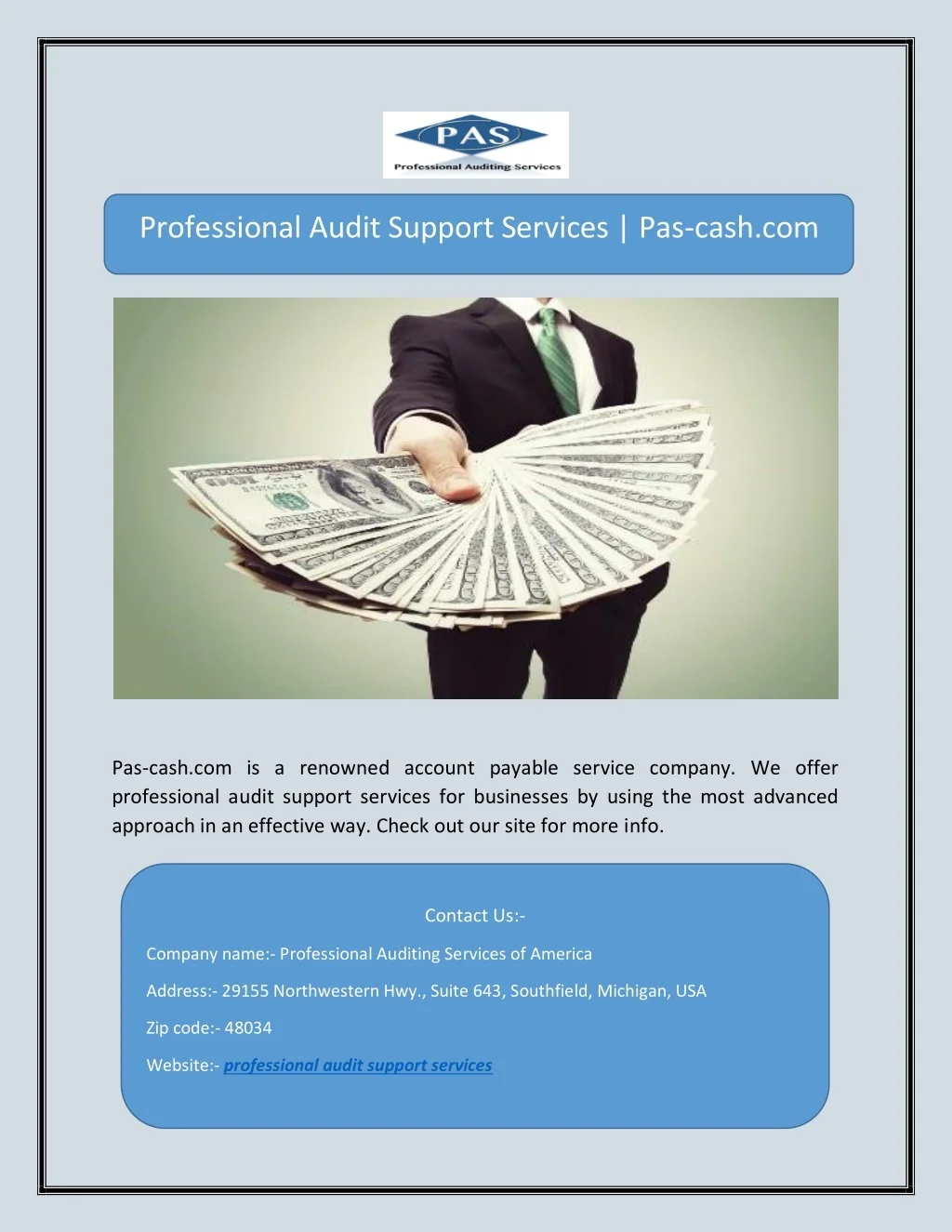 PPT - Professional Audit Support Services | Pas-cash.com PowerPoint ...