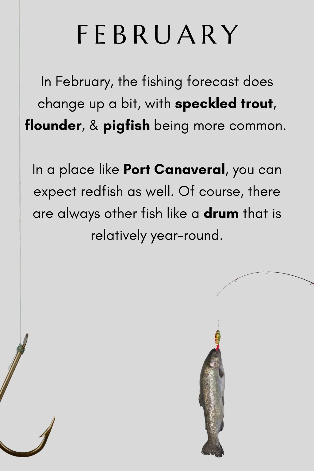 PPT - The Ultimate Florida Fishing Calendar PowerPoint Presentation ...