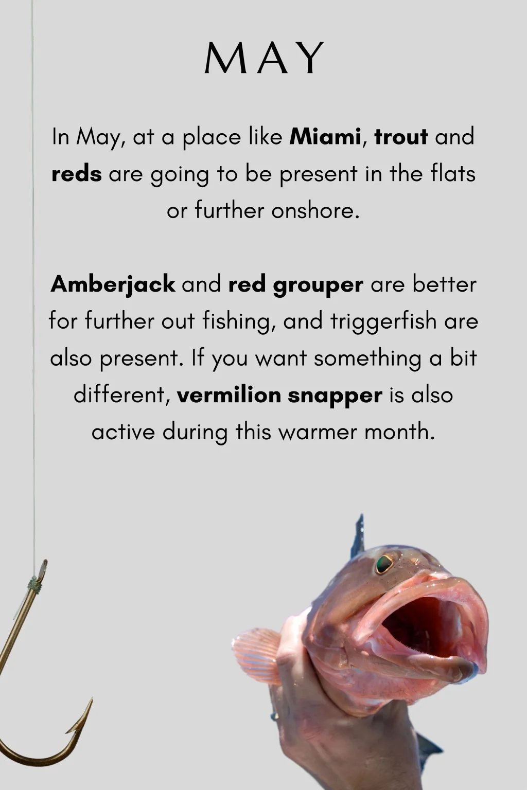 PPT - The Ultimate Florida Fishing Calendar PowerPoint Presentation ...