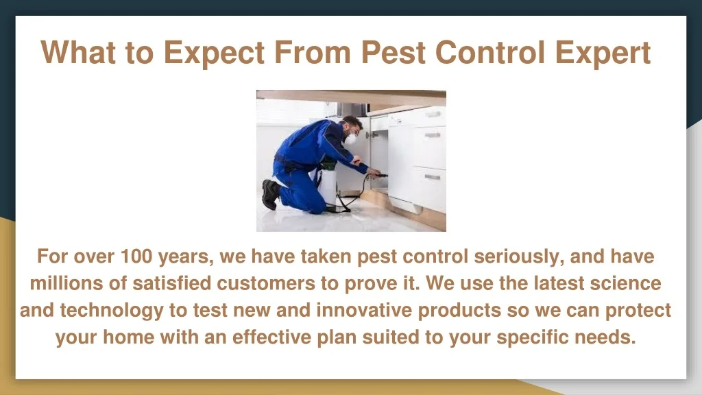 PPT - Pest Control Professionals - Pest Control Expert PowerPoint ...
