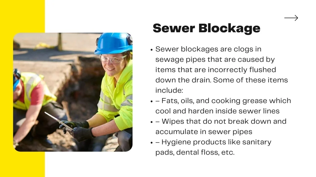 PPT - Protect Your House from Sewer Backups - Water Guard Plumbing ...