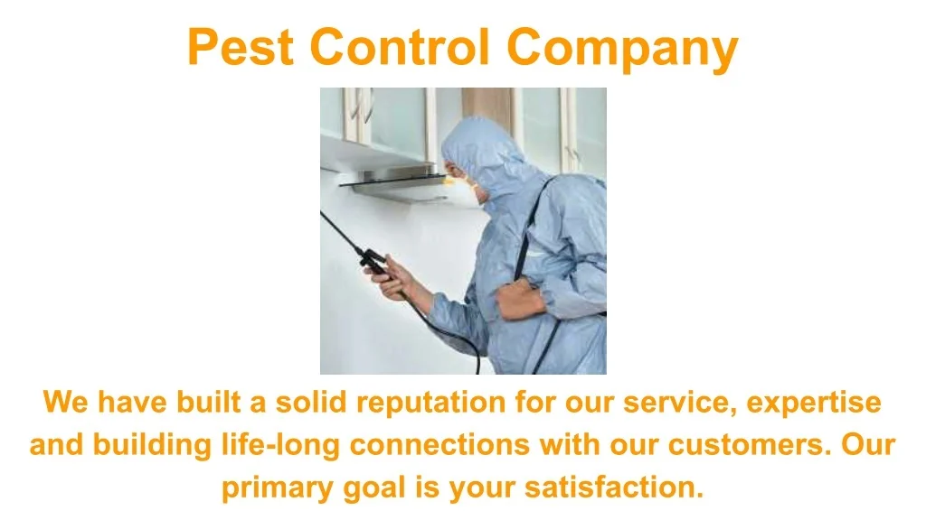 PPT - Best Pest Management Services - Pest Control Expert PowerPoint ...