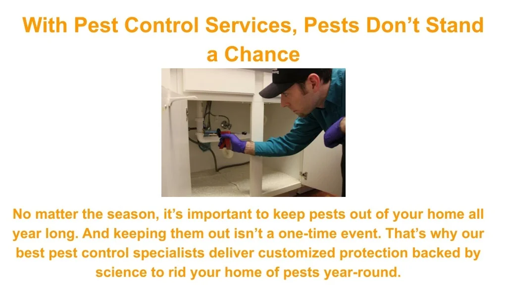 PPT - Best Pest Management Services - Pest Control Expert PowerPoint ...