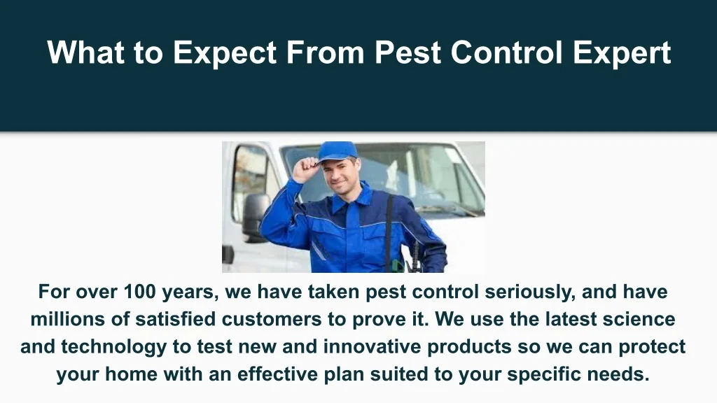 PPT - Best Pest Management Services - Pest Control Expert PowerPoint ...