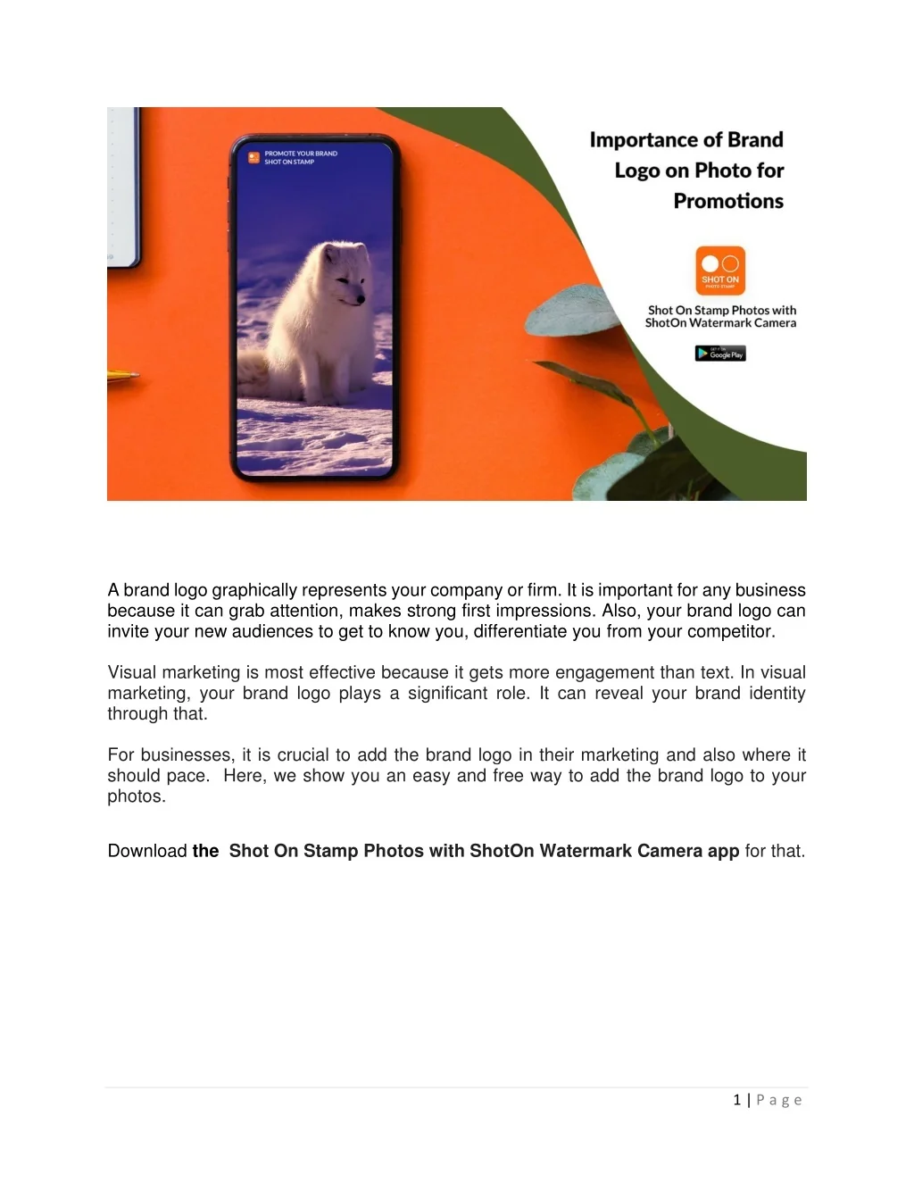 PPT - Importance of Brand Logo on Photo for Promotions PowerPoint ...