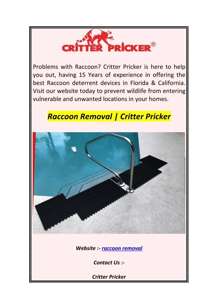 PPT - Raccoon Removal Critter Pricker PowerPoint Presentation, free ...