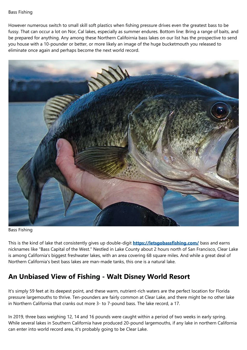 PPT - 10 Tell-Tale Signs You Need to Get a New Lets Go Bass Fishing ...