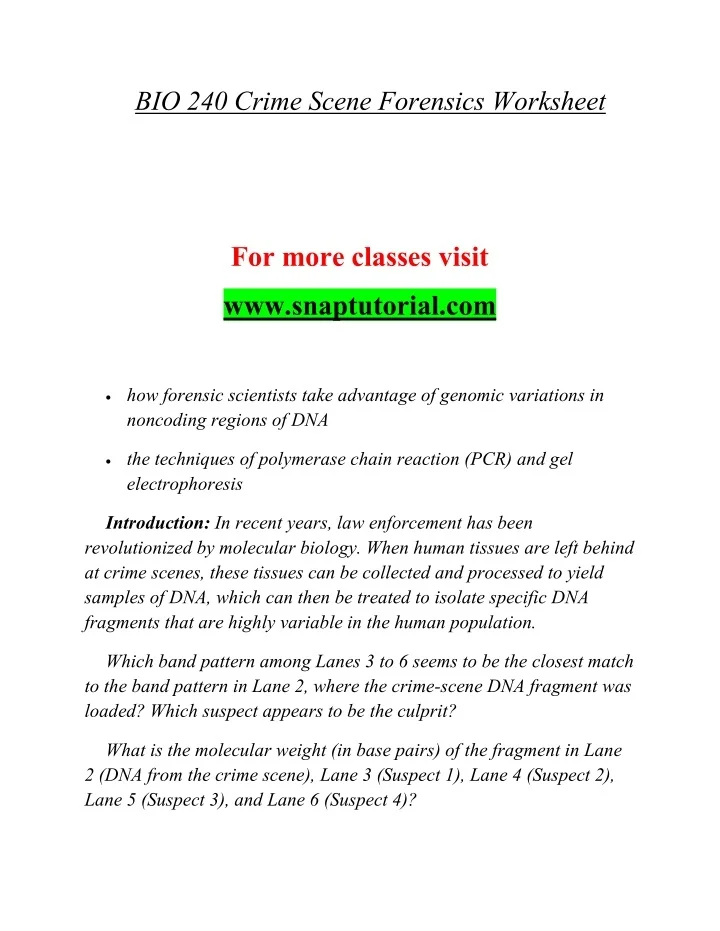 PPT - BIO 240 Inspiring Communication / snaptutorial.com PowerPoint Presentation - ID:10601912
