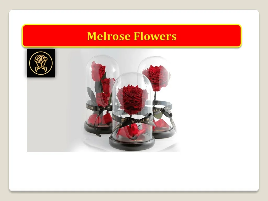 PPT - The Best Flower Delivery Brooklyn NY PowerPoint Presentation ...
