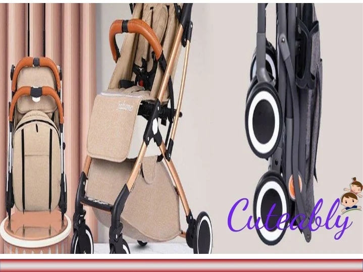 PPT - double stroller PowerPoint Presentation, free download - ID:10614043