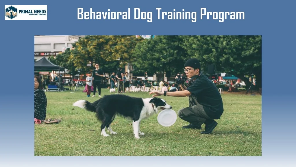 PPT - Primal Needs Behavioral Solutions - Dog Trainers in Sacramento ...