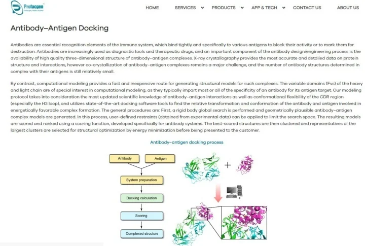 PPT - Antibody-Antigen Docking PowerPoint Presentation, free download ...