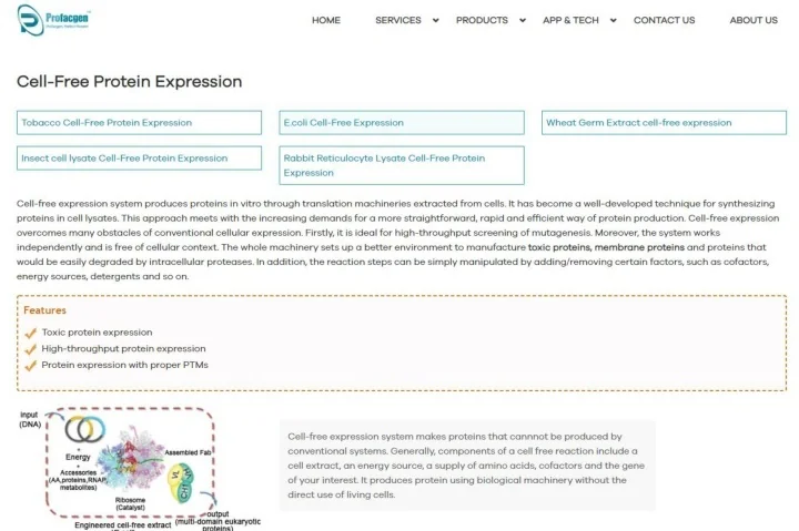PPT - Cell-free expression PowerPoint Presentation, free download - ID ...