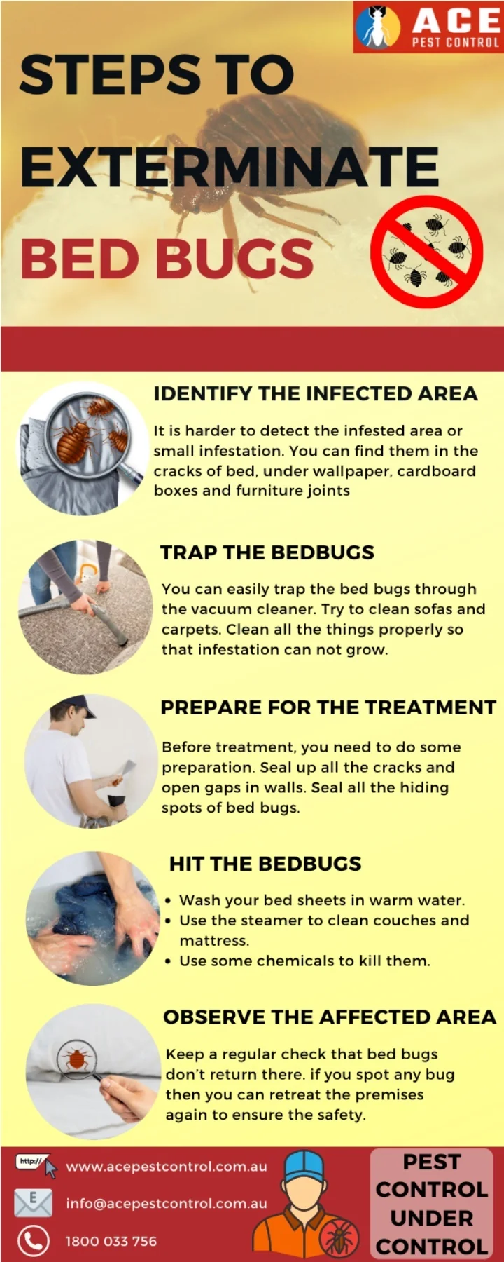 PPT - Steps to Exterminate Bed Bugs | Ace Pest Control PowerPoint Presentation - ID:10645088