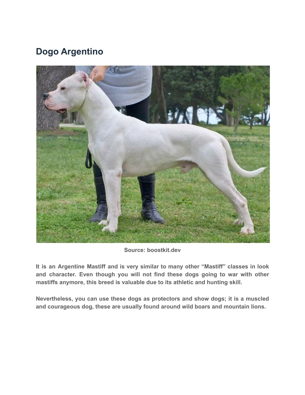 PPT - Know All About Muscular Dogs Breeds PowerPoint Presentation, free ...