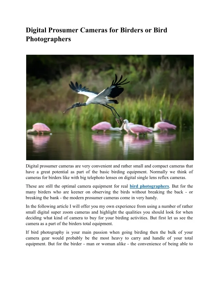 PPT - Digital Prosumer Cameras for Birders or Bird Photographers ...