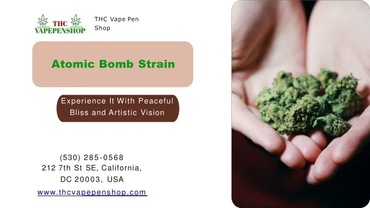 PPT - Experience Peaceful Bliss From Atomic Bomb Strain PowerPoint ...