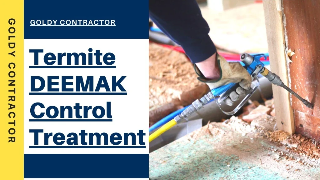 PPT - Termite DEEMAK Control Treatment in panchkula & zirakpur ...