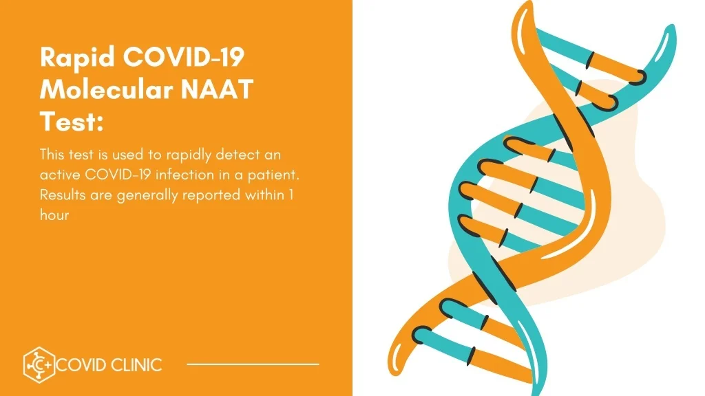 PPT - Types of Rapid COVID-19 Tests - Covid Clinic PowerPoint ...