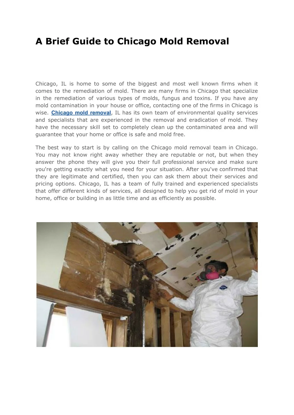 PPT - The CleanUP Guys PowerPoint Presentation, free download - ID:10692893