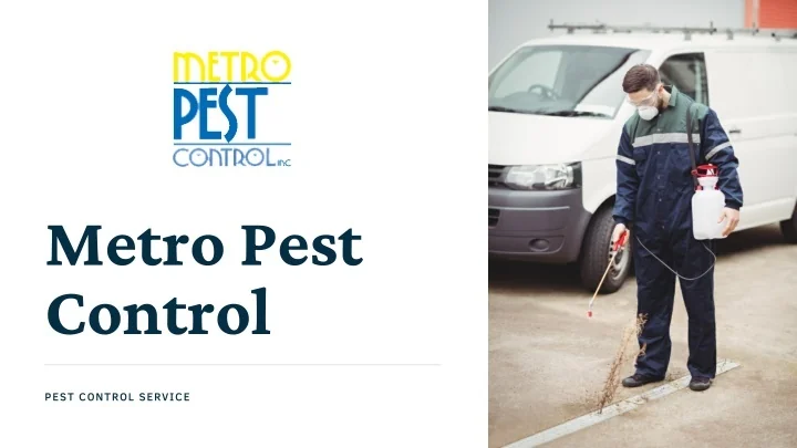 PPT - Important Facts and Signs of Rat Infestation PowerPoint ...
