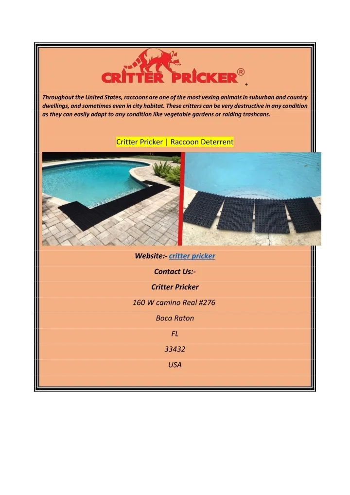 PPT - Critter Pricker Raccoon Deterrent PowerPoint Presentation, free ...