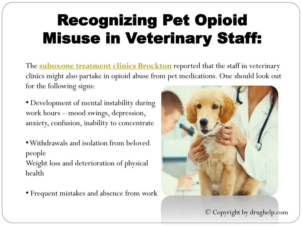PPT - Misuse of pet opioids and the Opioid Endemic: PowerPoint ...