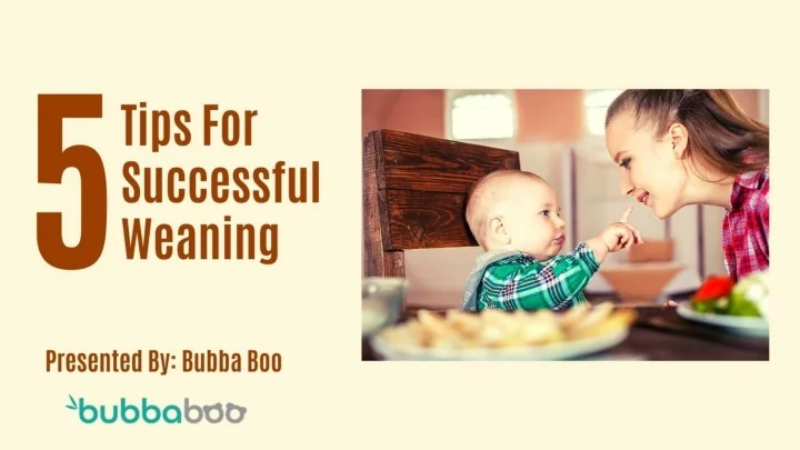 PPT - 5 Tips For Successful Weaning PowerPoint Presentation, free download - ID:10774717