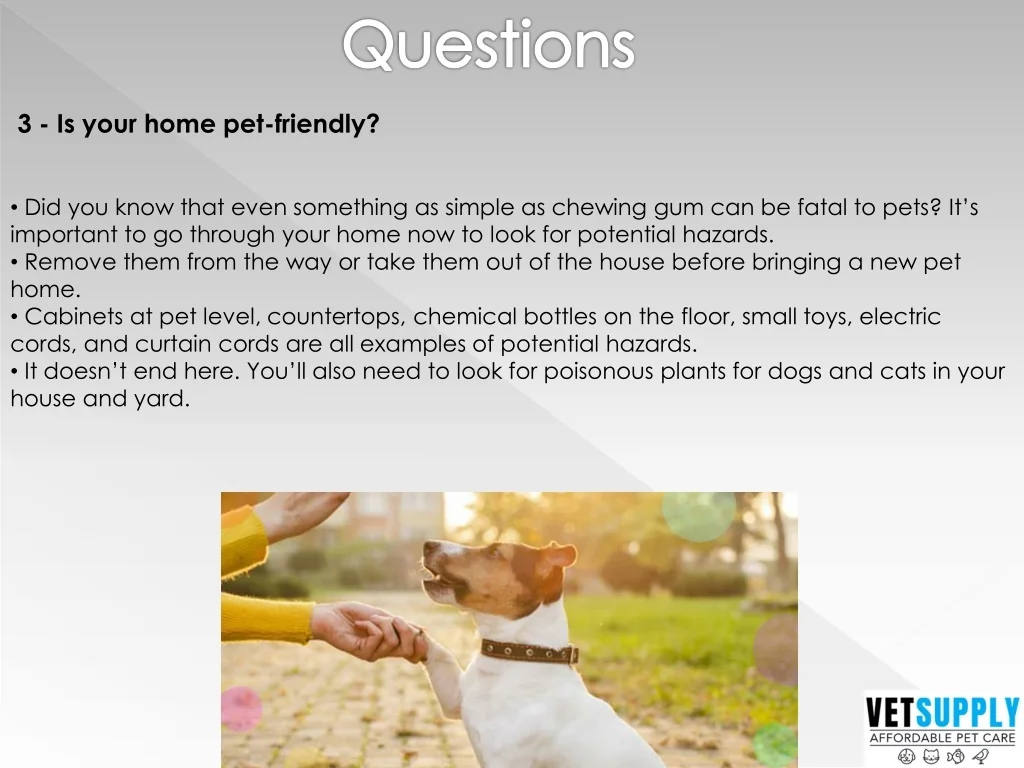 PPT - 5 Questions to Ask Before Getting a Pet | Pet Supply | Pet Care ...