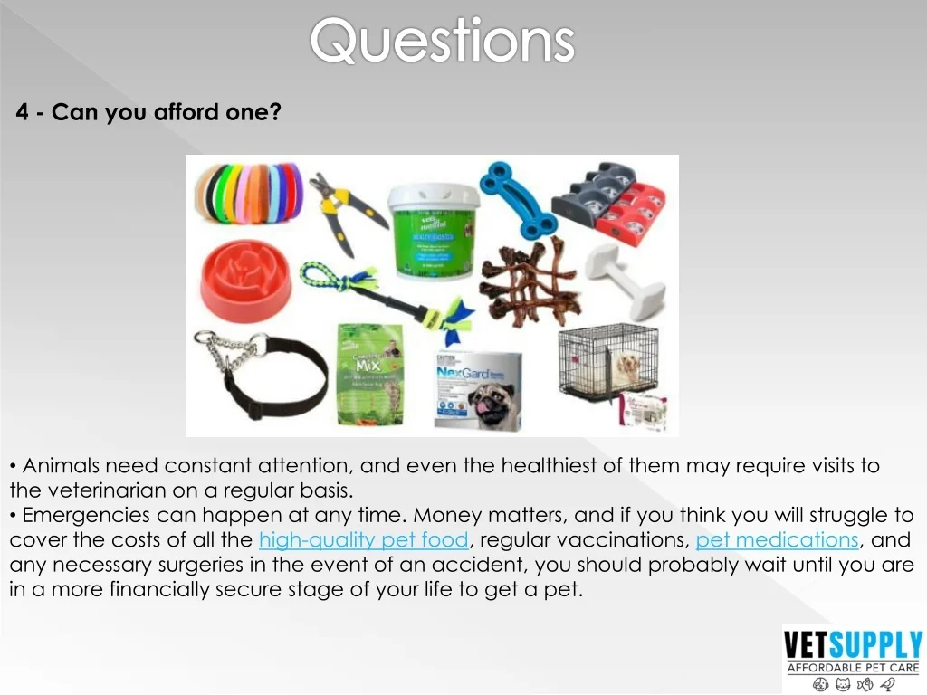 PPT - 5 Questions to Ask Before Getting a Pet | Pet Supply | Pet Care ...