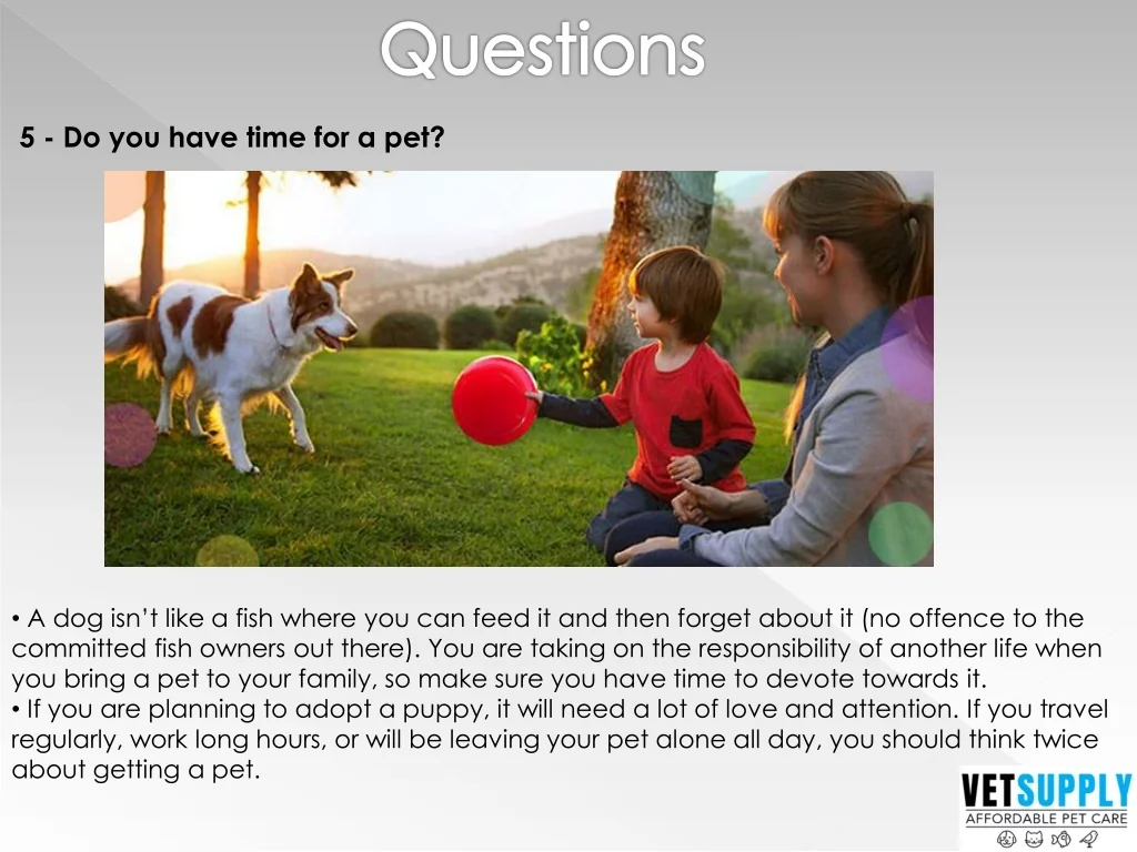 PPT - 5 Questions to Ask Before Getting a Pet | Pet Supply | Pet Care ...