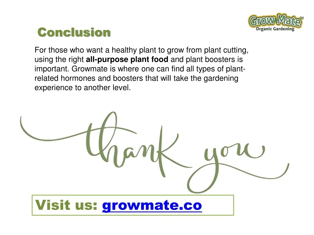 PPT - Things To Know About All Purpose Plant Food PowerPoint ...