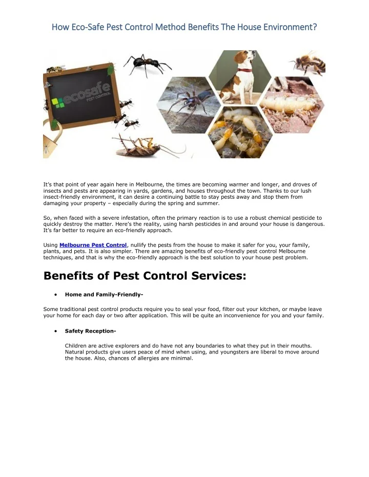 PPT - How Eco-Safe Pest Control Method Benefits The House Environment ...