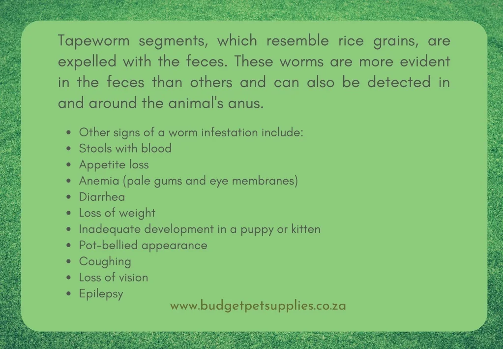 PPT - Best Deworming Treatment for Pets in South Africa ...
