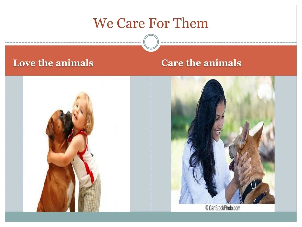 PPT - Join Peter Cennamo To make This World Better For Animals ...