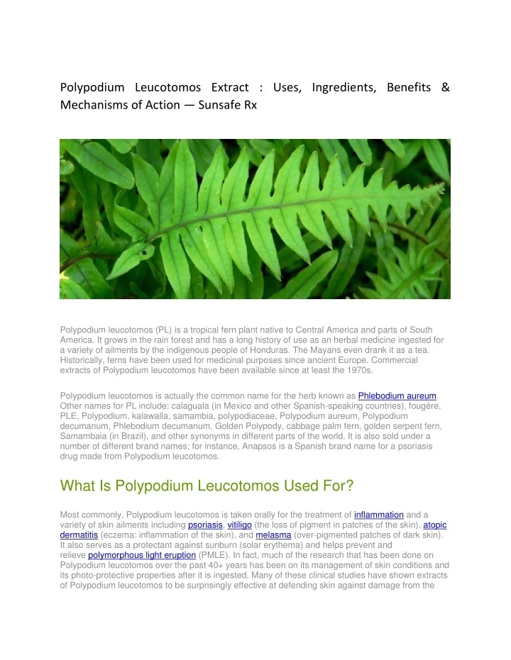 PPT - Polypodium Leucotomos Extract Uses, Ingredients, Benefits ...