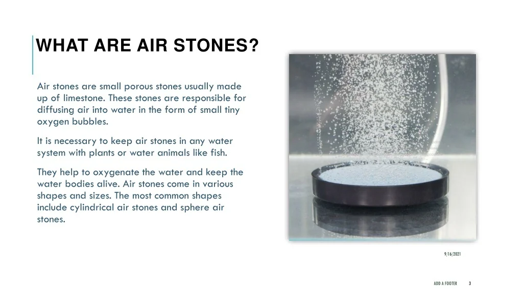 PPT - Best Air Stones for Deep Water Culture PowerPoint Presentation ...