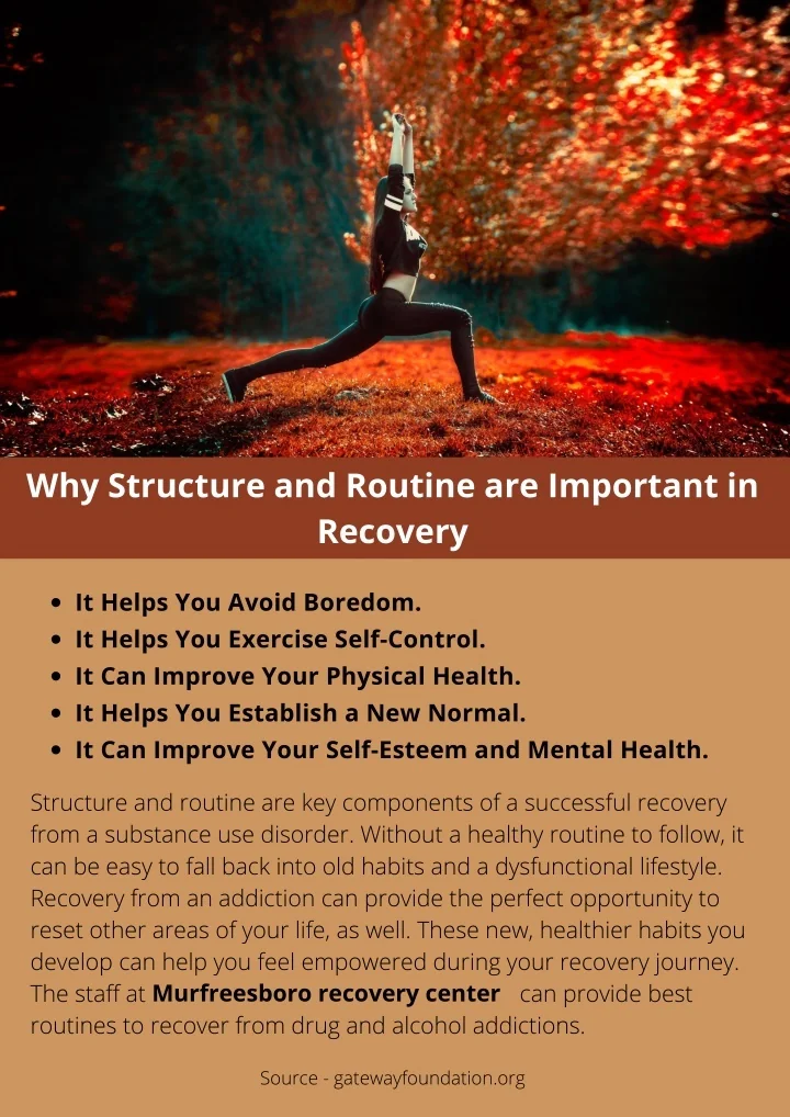 PPT - WHY STRUCTURE AND ROUTINE ARE IMPORTANT IN RECOVERY PowerPoint ...