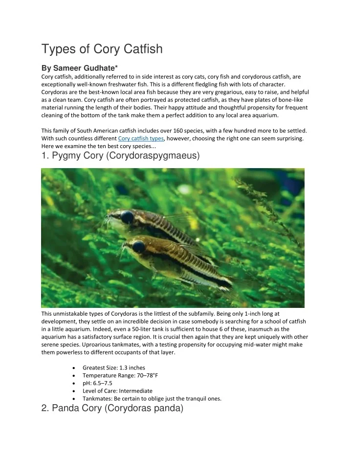PPT - Types of Cory Catfish PowerPoint Presentation, free download - ID ...